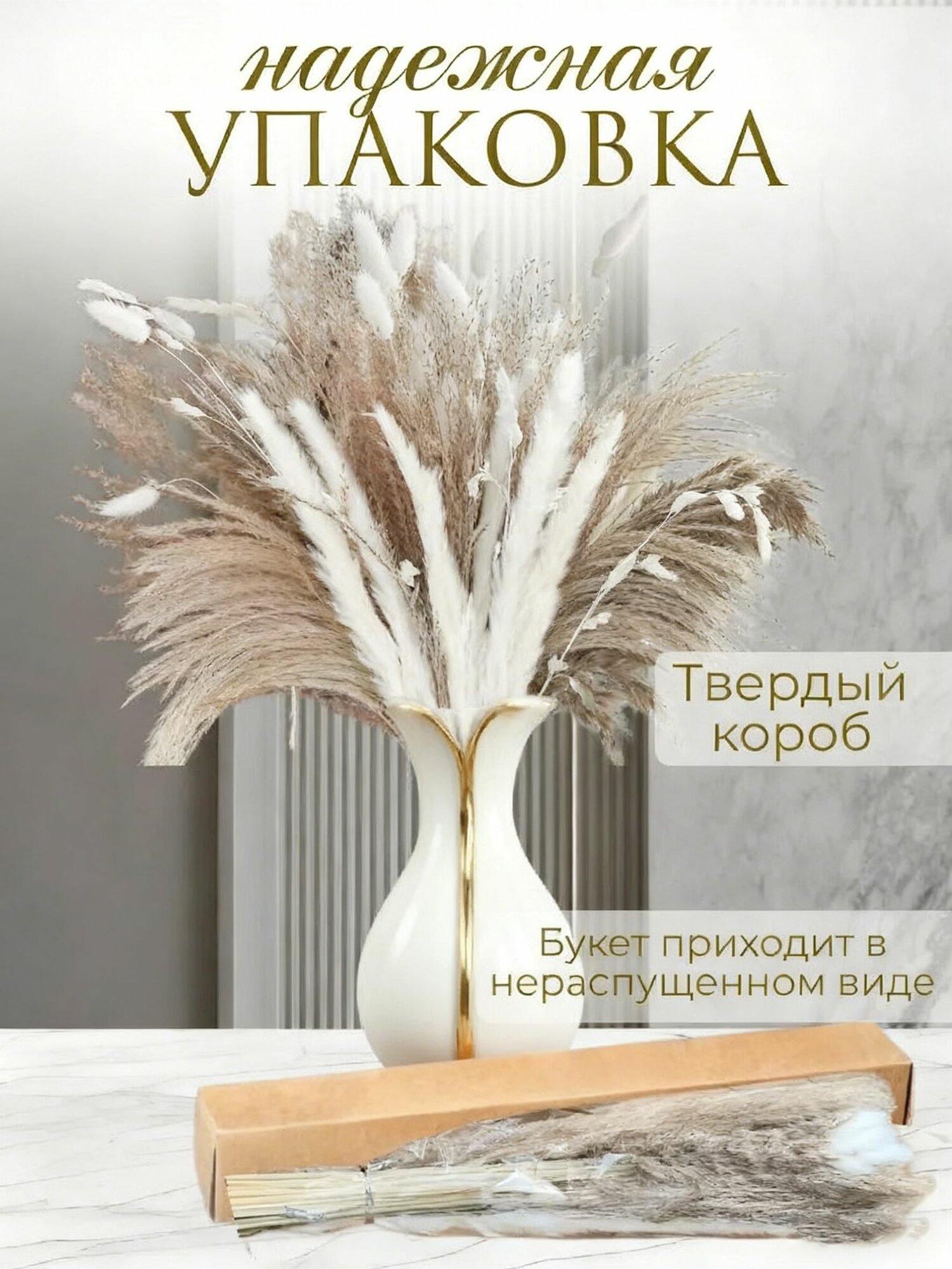 Сухоцветы — фото 1