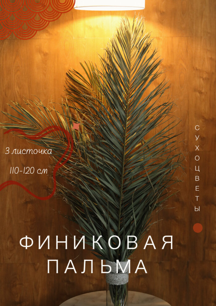 Сухоцветы LampasPampas "Пальма Финиковая", декор, высота 110см, 3шт