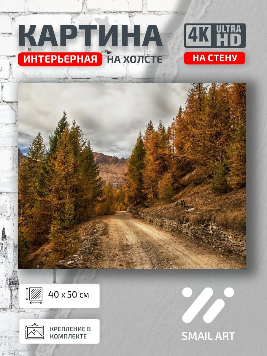 Картина на холсте интерьерная 40 на 50 на стену Природа дорога для кафе пейзаж