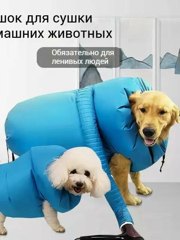 Коробка для сушки домашних животных, автоматическая сумка для сушки, фен для кошек Teddy Corgi