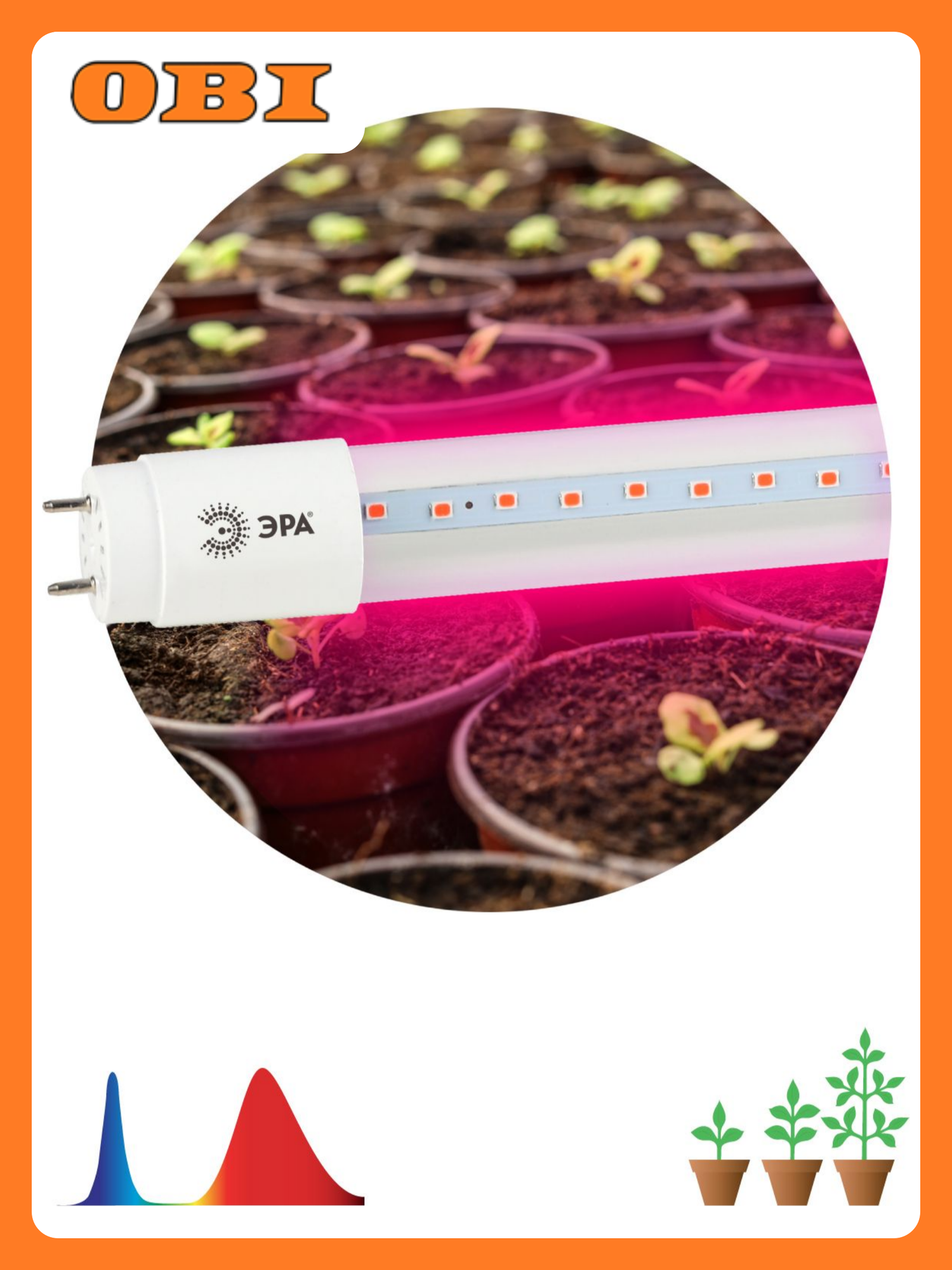 Фитолампа для растений т8 9 Вт g13 красный-синий