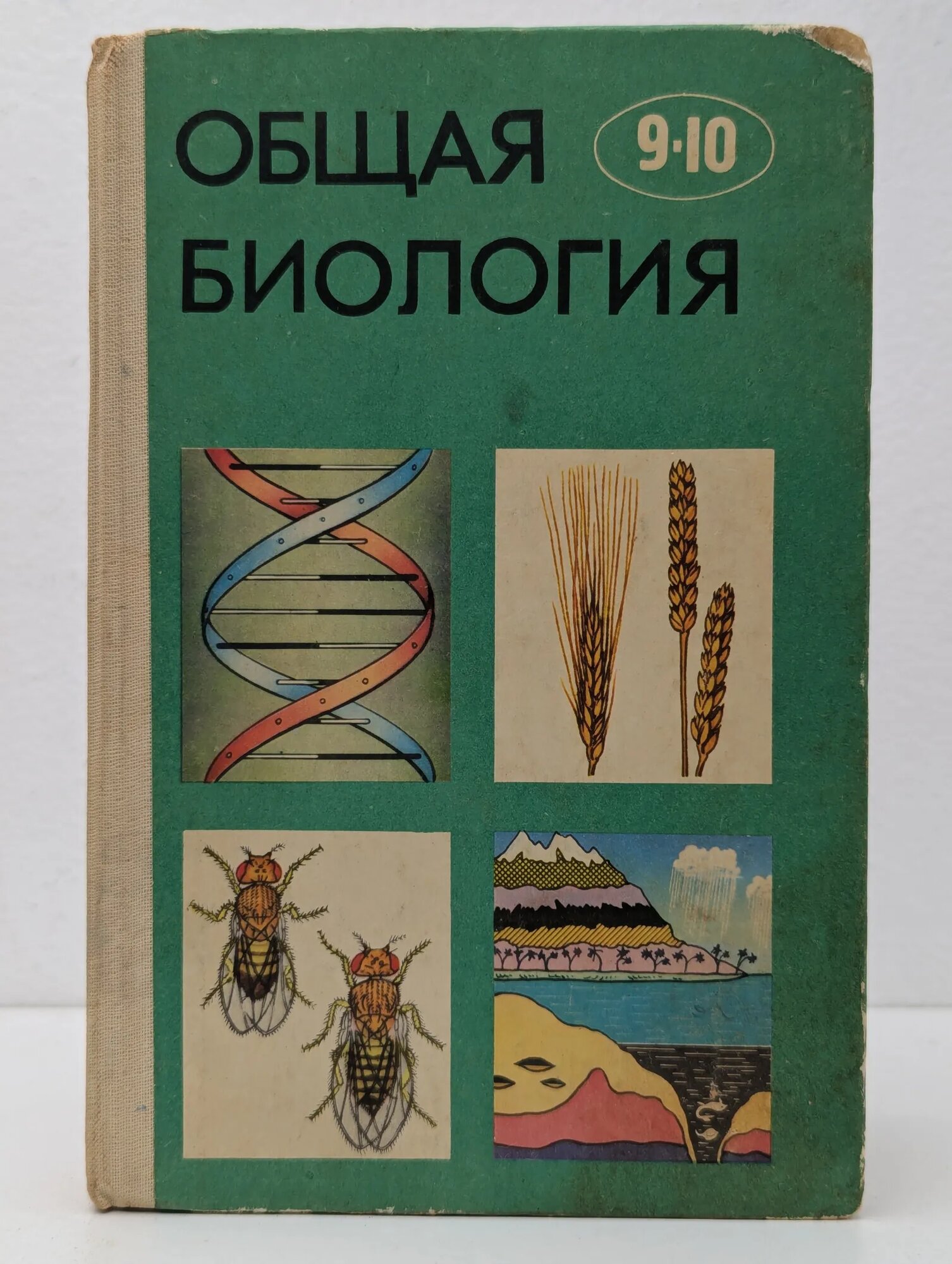Общая биология. 9-10 классы Полянский Юрий Иванович 1983