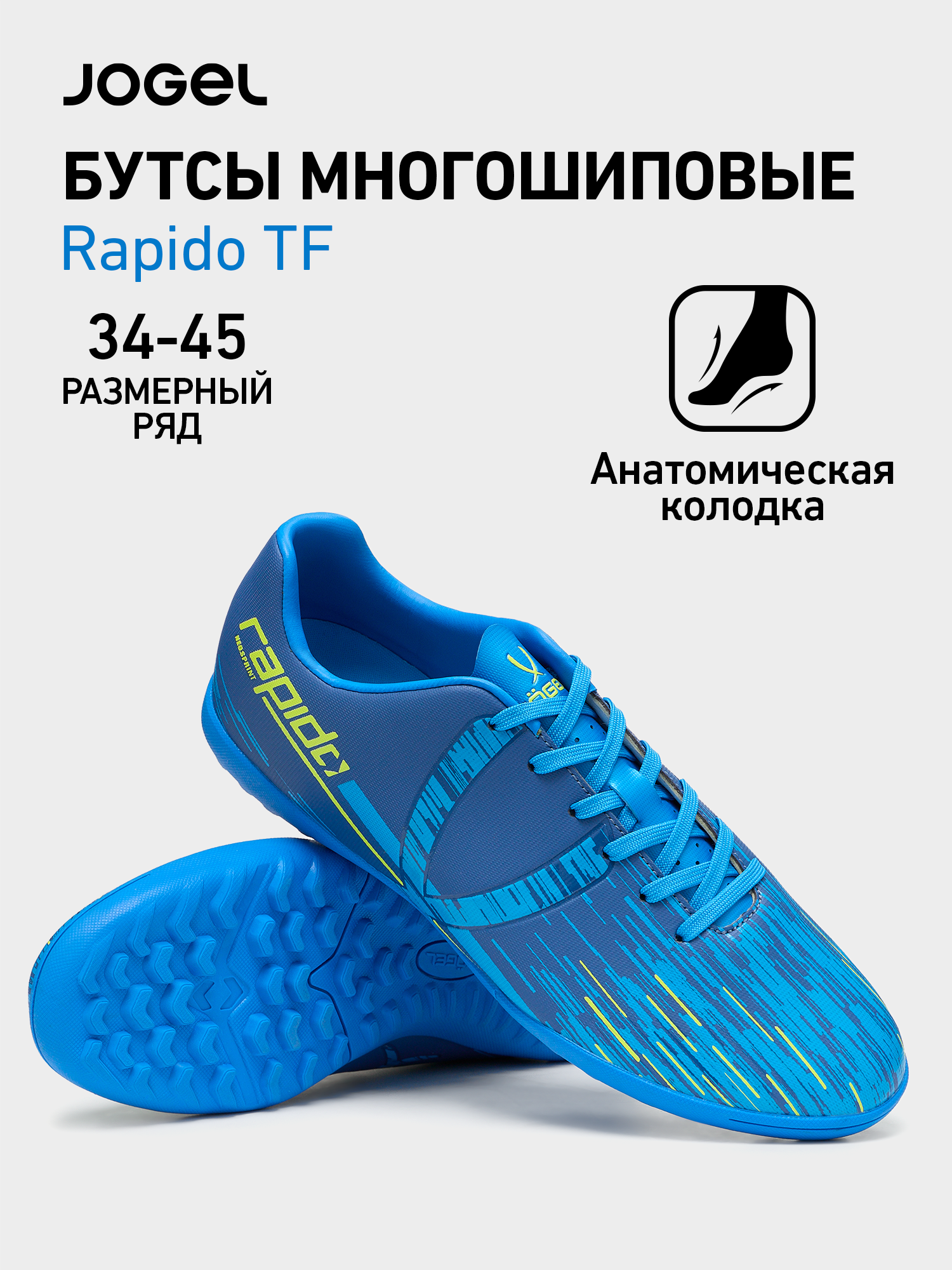 Сороконожки