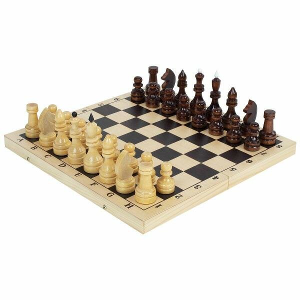 Шахматы Золотая сказка 665363