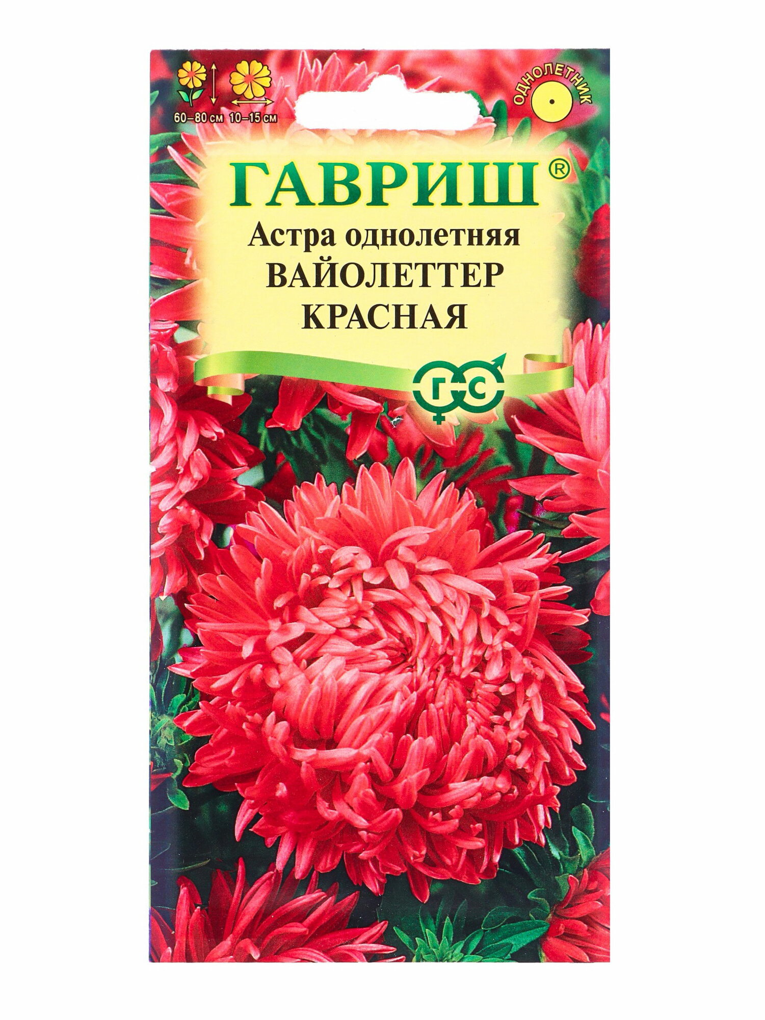 Семена цветов Астра "Вайолеттер красная", цветение период: август, 3 шт.