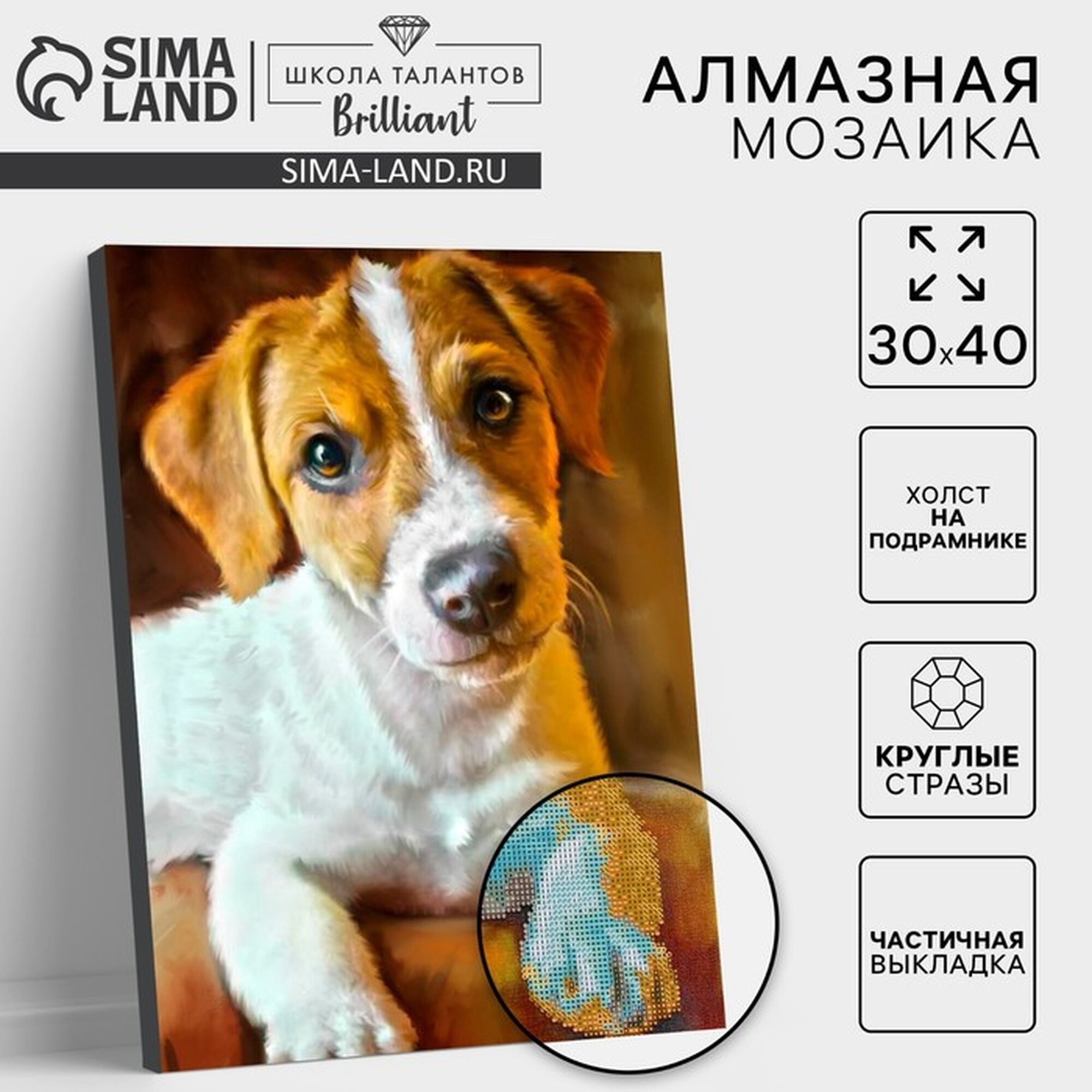 Алмазная мозаика с частичным заполнением на подрамнике «Пёс», 30 х 40 см. Набор для творчества