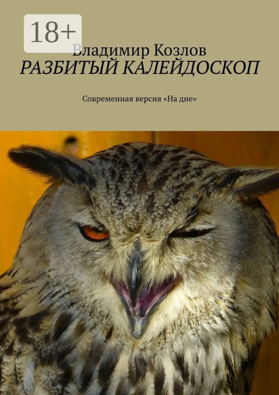 Разбитый калейдоскоп. Современная версия «На дне» [Цифровая книга]