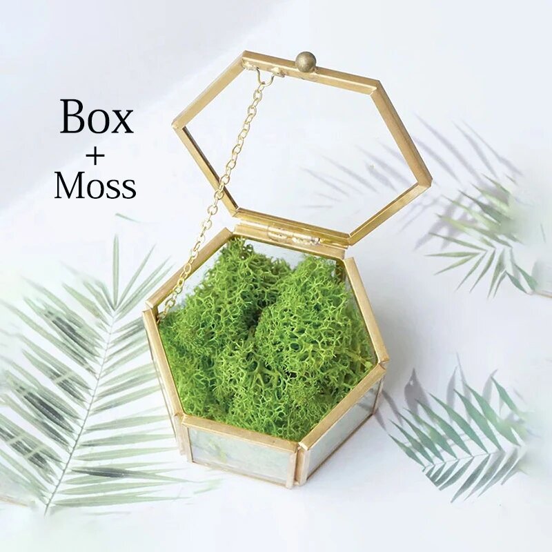 Стеклянная шестигранная коробка для обручальных колец Красный, Gold Text, Small Box x Moss