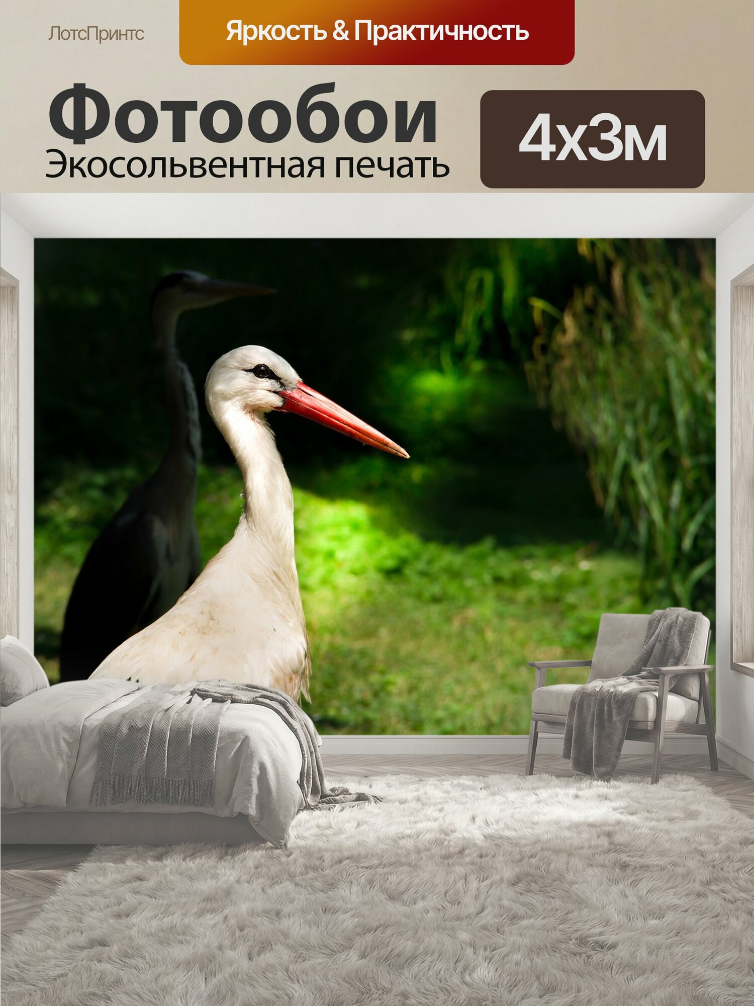 Фотообои "Аист, животное, птица" 400x300 см. экосольвентная печать