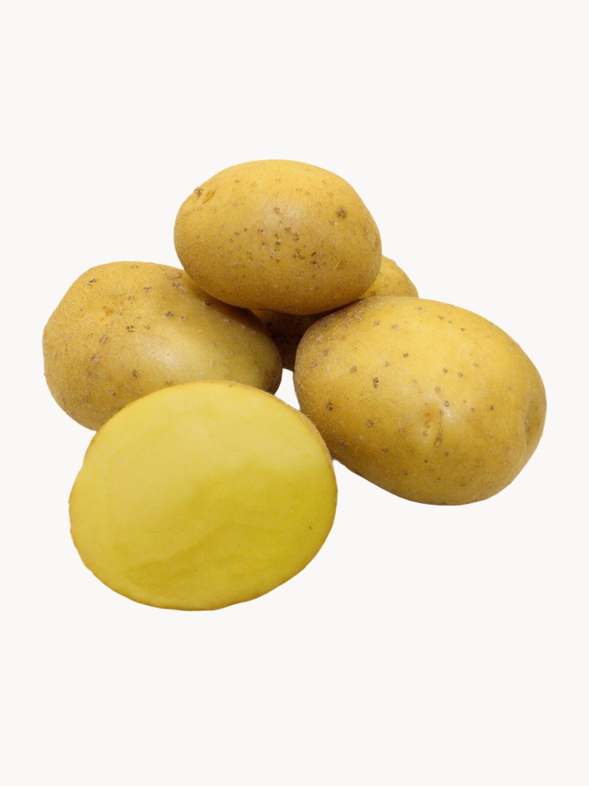 Картофель семенной сорт Краса Мещеры (суперэлита) (4 кг)