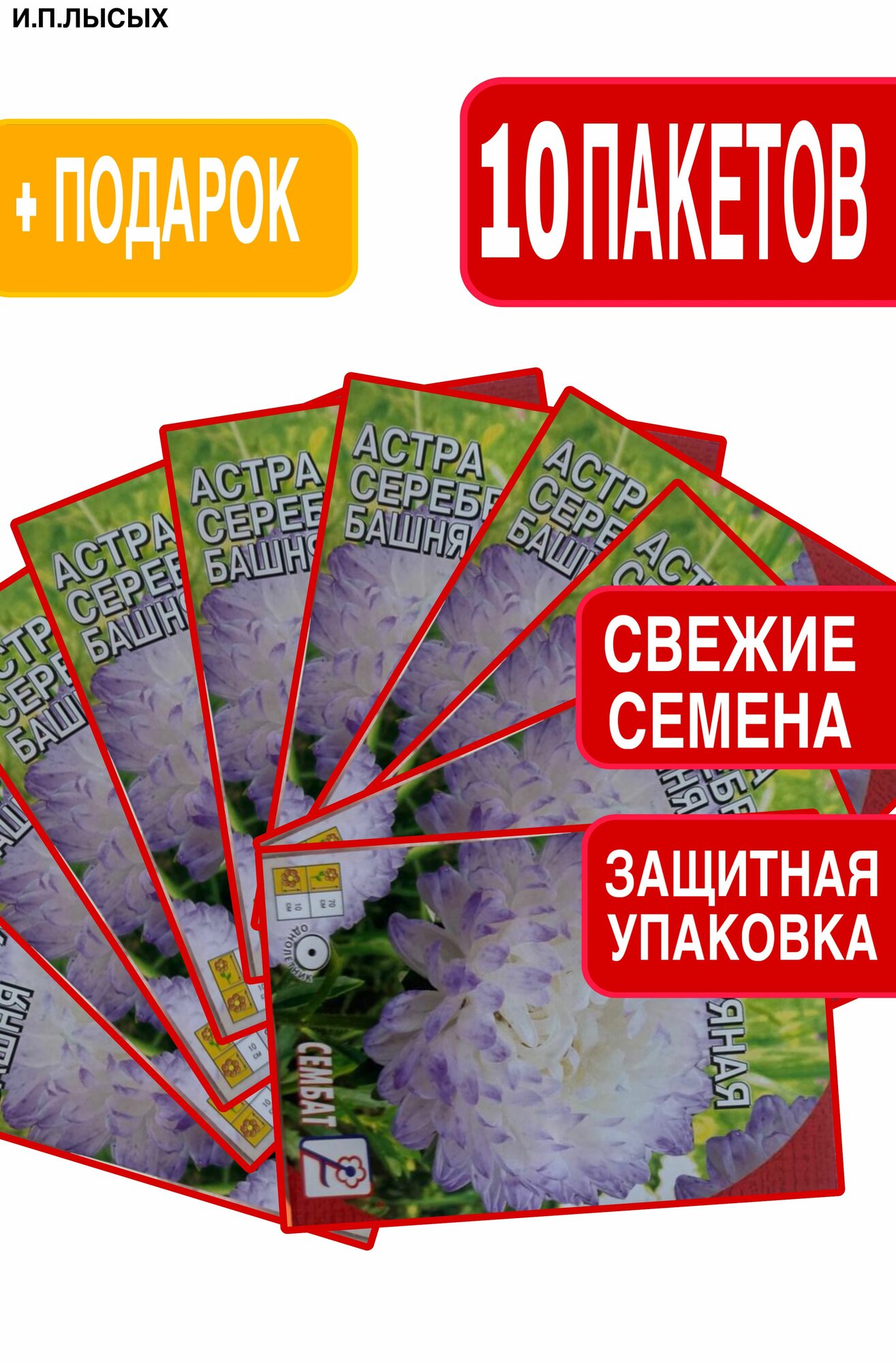Семена Астра "Серебряная Башня"