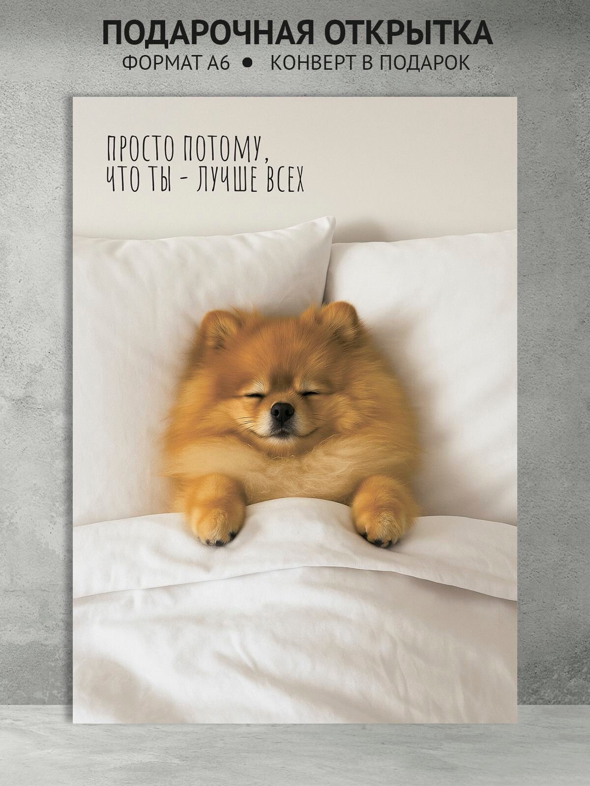 Подарочная открытка, открытка с уникальной иллюстрацией "Шпиц", с юбилеем, с днем рождения, без повода