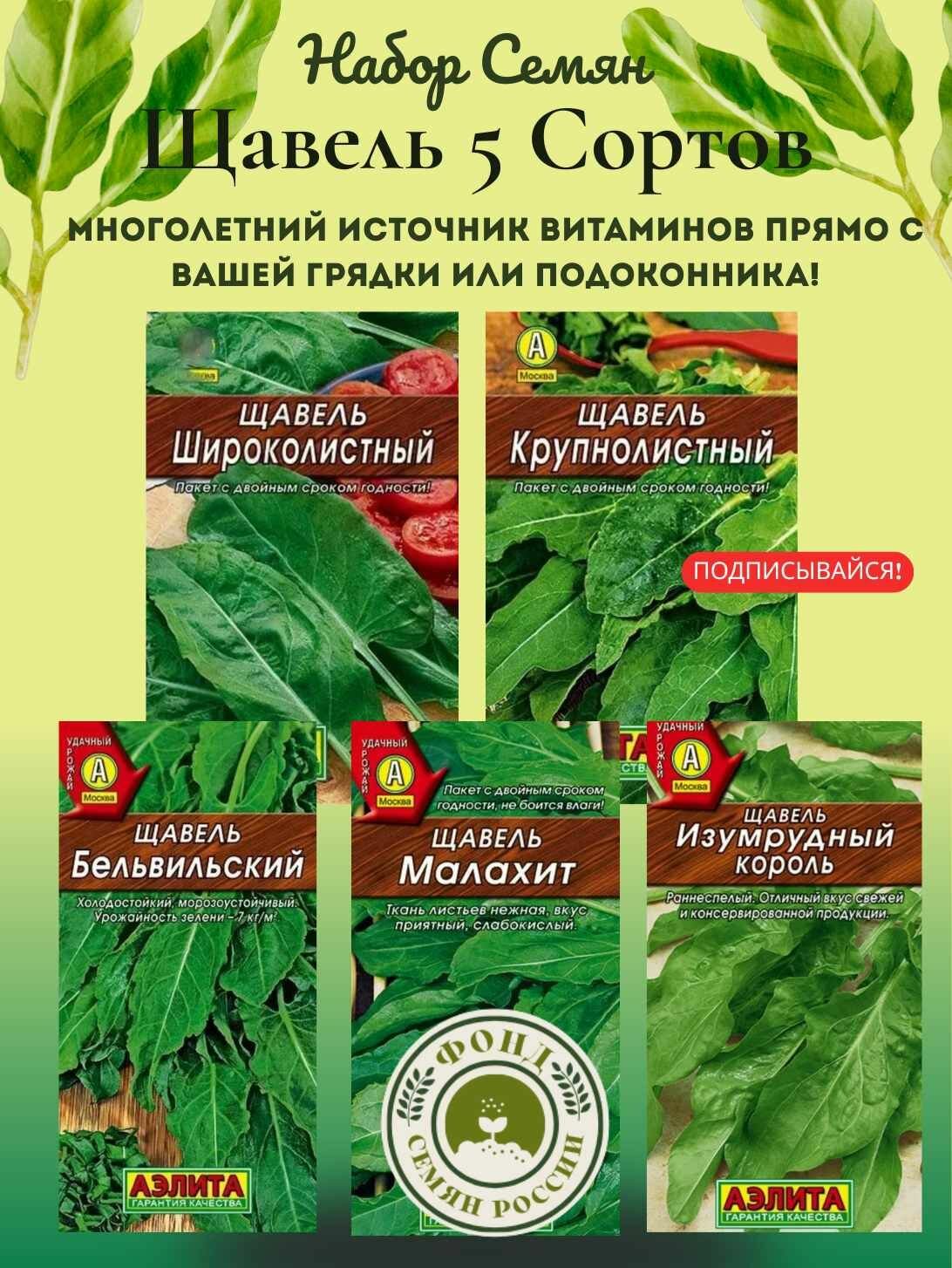 Набор семян Щавель, 4 сорта, 1,2 грамма, 4 пачки