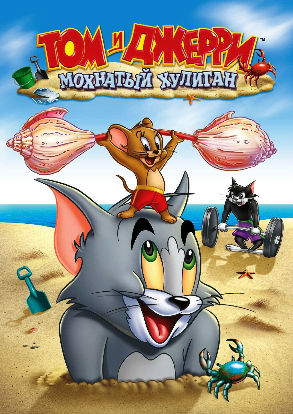 Том и Джерри. Мохнатый хулиган. Сборник мультфильмов (региональное издание) (DVD)