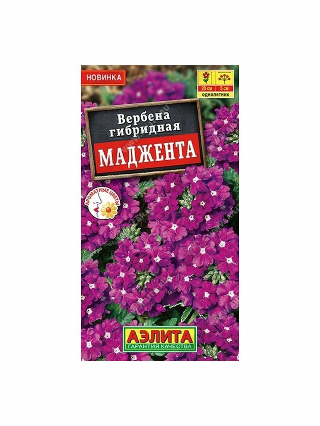 Семена Вербена Маджента, однолетник, Аэлита, 1 пачка - 10 семян