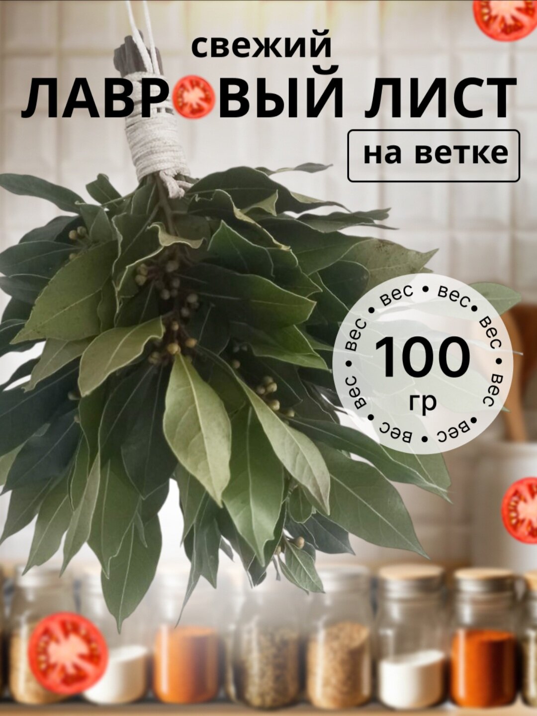 Лавровый лист свежесрезанный на ветке