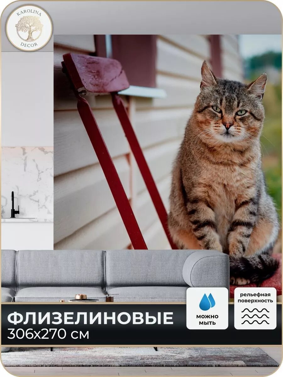 Фотообои 3D "Кот" 300х270