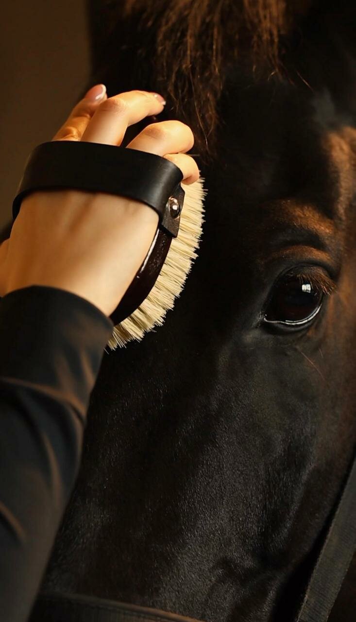 Щетка малая для ухода за лошадью, конный спорт, верховая езда SHEIKH HORSE BRAND