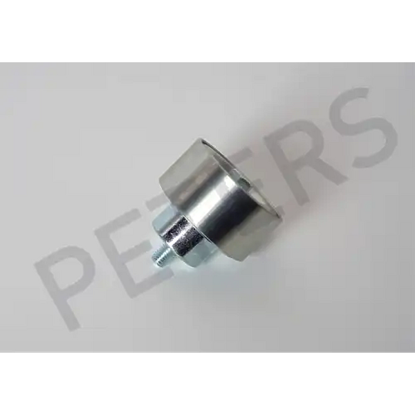 PETERS 020.130-00A (02013000A_PE8) ролик натяжной\ daf lf45 / 55 cf65