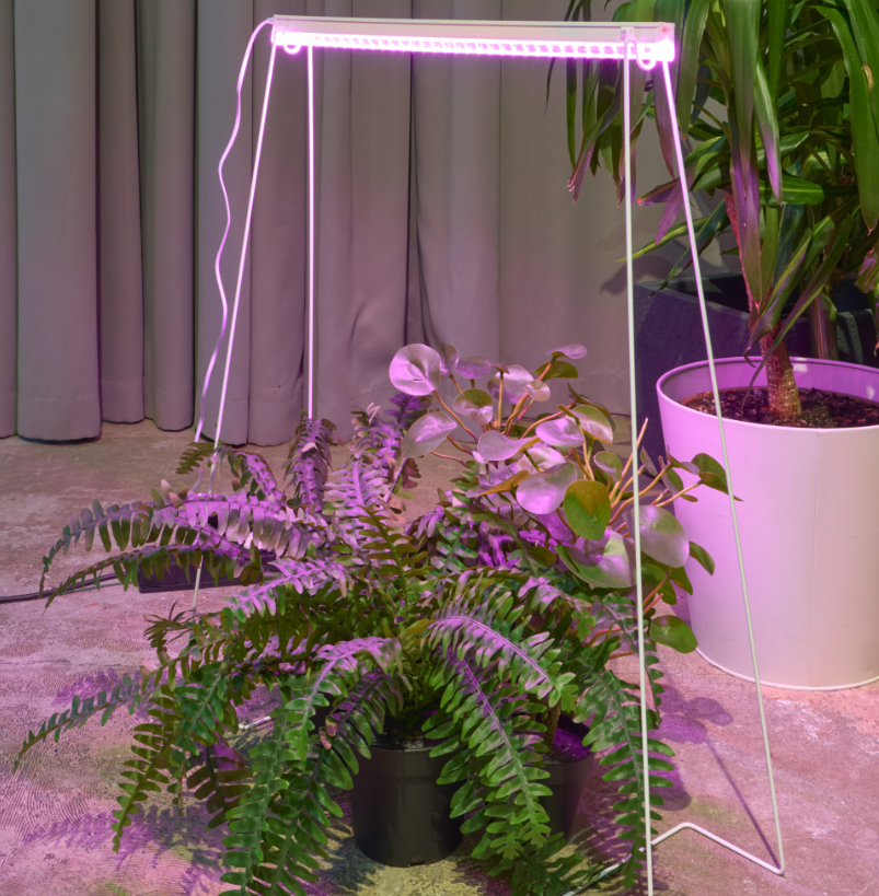 Светильник светодиодный для растений линейный 18Вт IP20 573мм (для рассады и досвечивания в период роста)