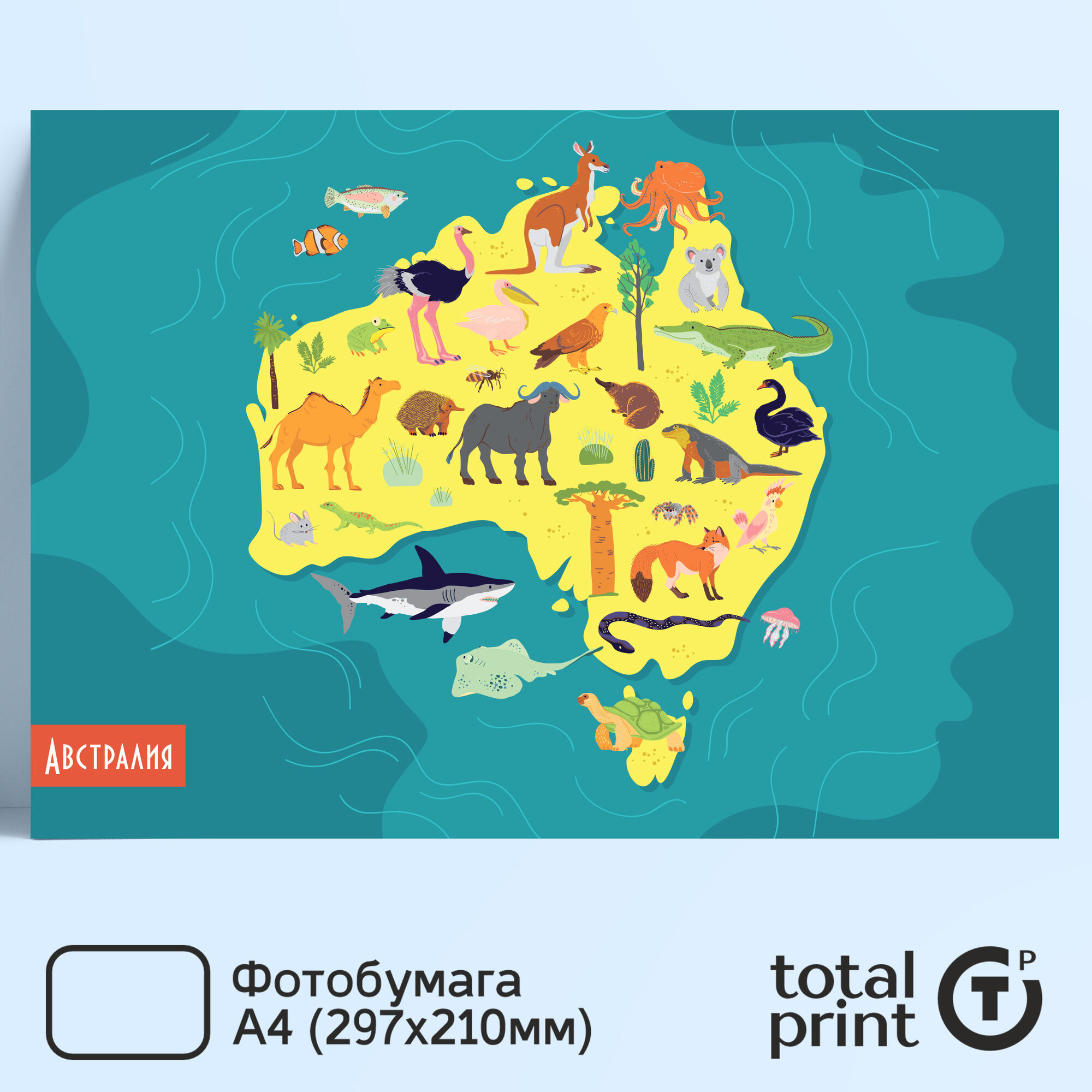 Постер на стену Карта животного мира, Австралия, А4(297х210мм), TotalPrint