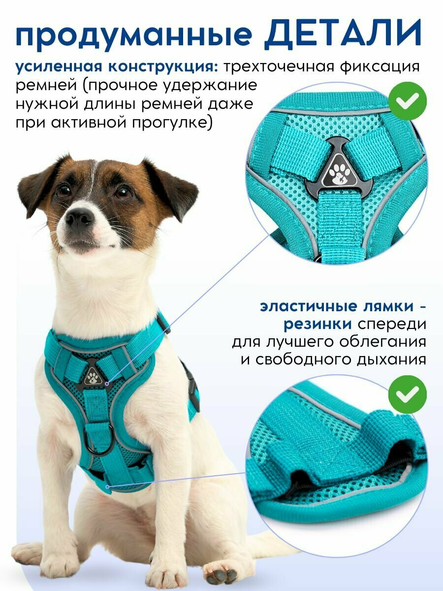 Шлейка — фото 1
