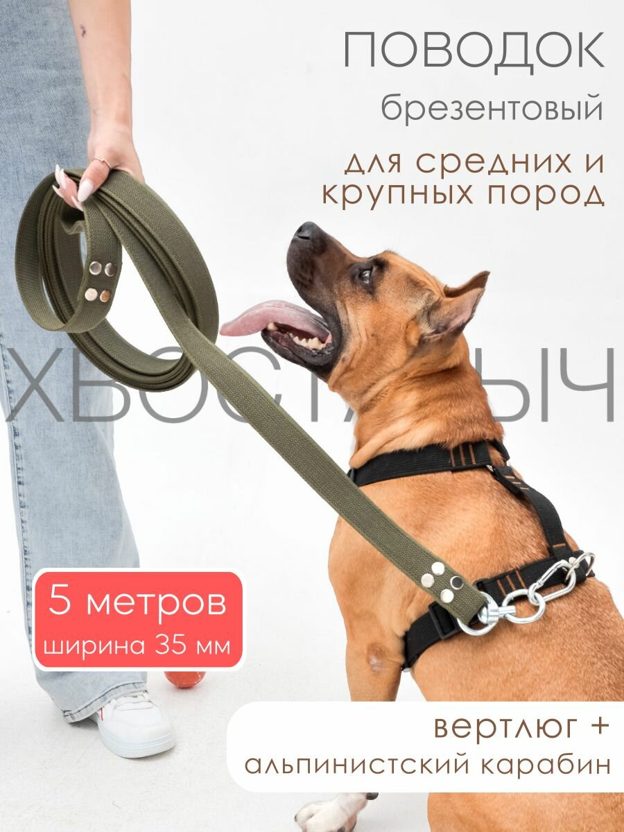Поводок Хвостатыч для собак крупных пород с вертлюгом и альпинистским карабином брезент 5 м х 35 мм (зеленый)