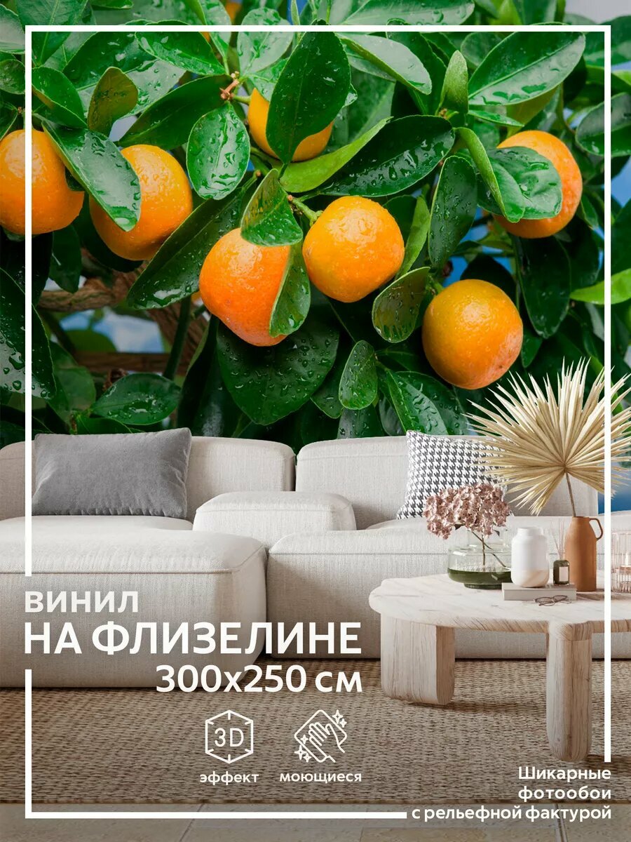 Фотообои Апельсины в спальню на кухню в зал 300х250