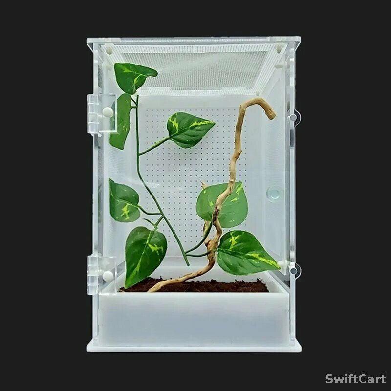 Эксклюзивный инсектарий для богомодов