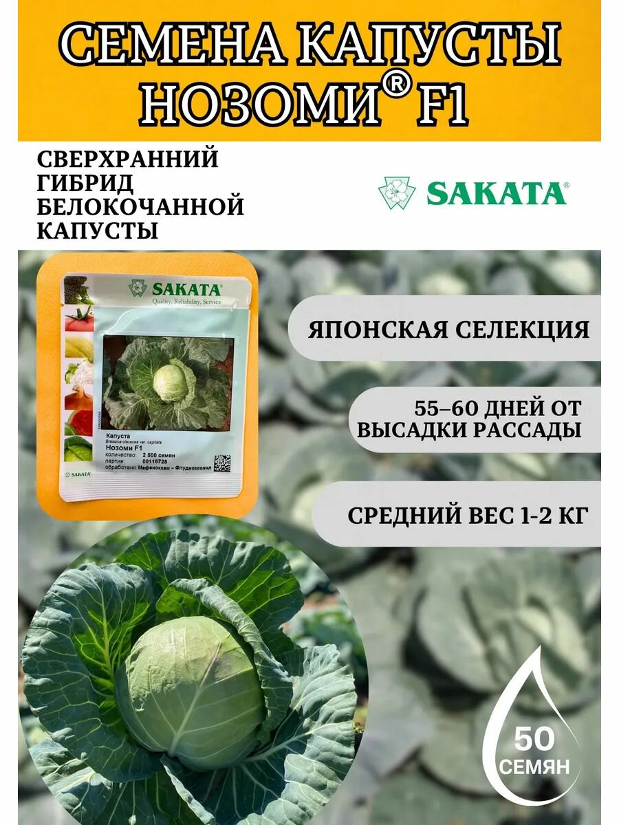 Капуста белокочанная Нозоми F1 50 семян Sakata, профессиональные семена