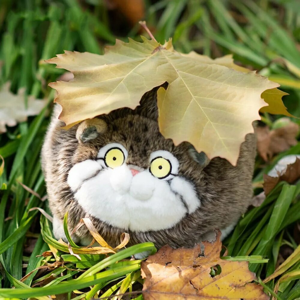 Манул плюшевая игрушка, Кошка Палласа кукла животных