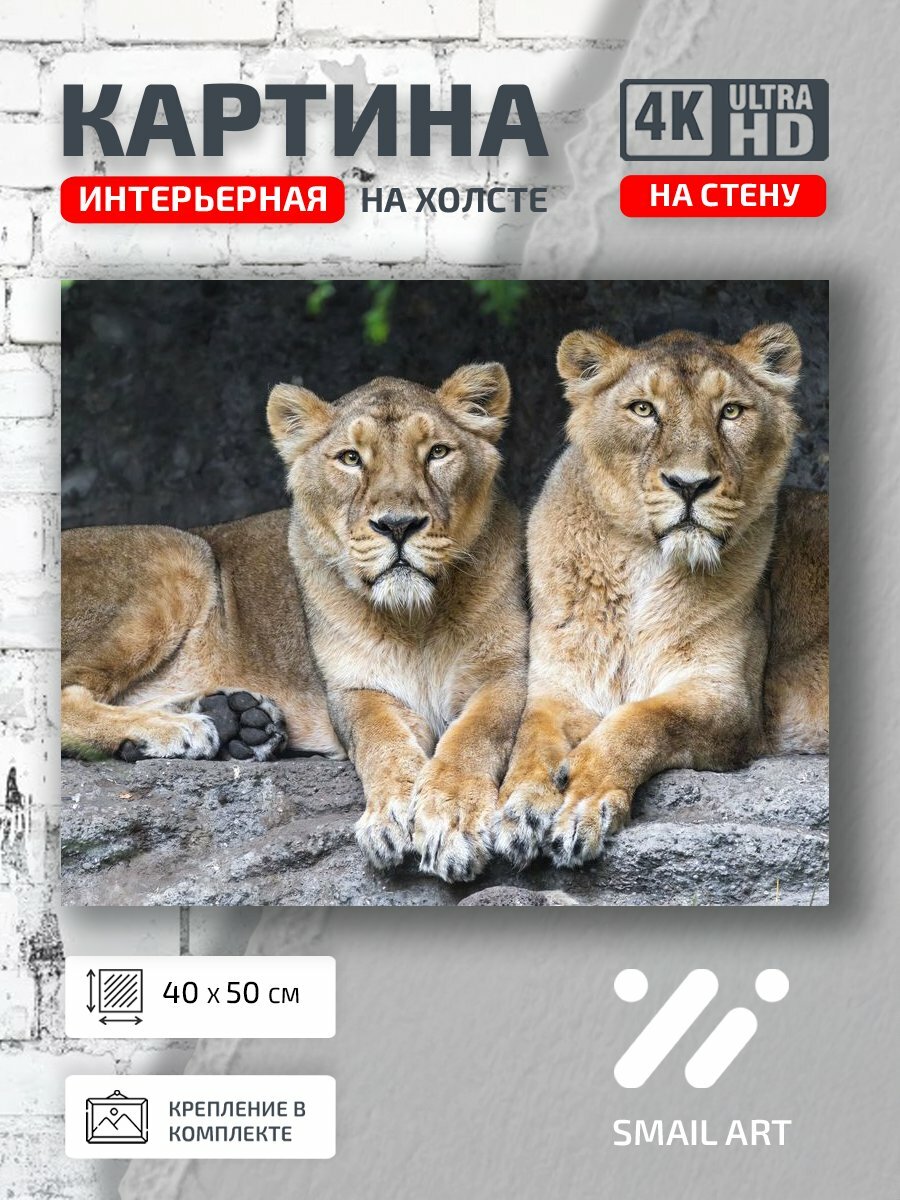 Картина на холсте интерьерная 40 на 50 на стену Камнях Mood для офиса атмосфера интерьер
