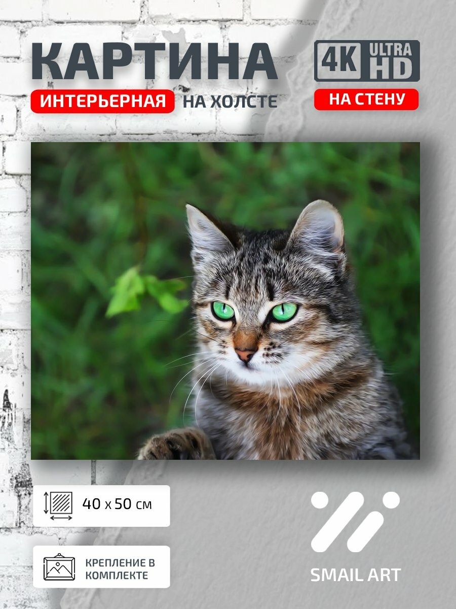 Картина на холсте интерьерная 40 на 50 на стену Глаза Animal для детской animal style декор