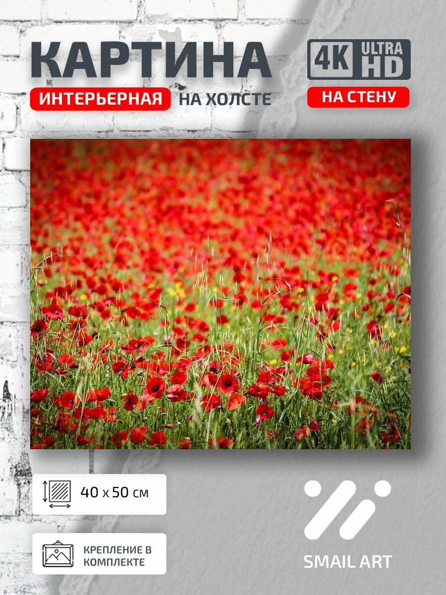 Картина на холсте интерьерная 40 на 50 на стену Цветы Landscape для гостиной пейзаж декор