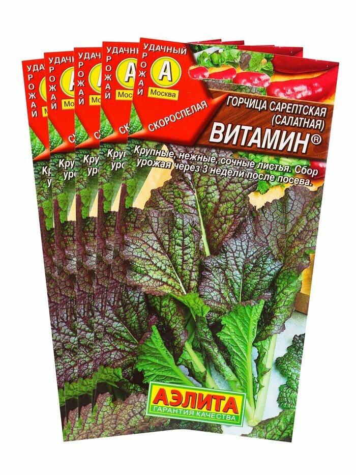 Набор семян Горчица салатная "Витамин", 5 шт.