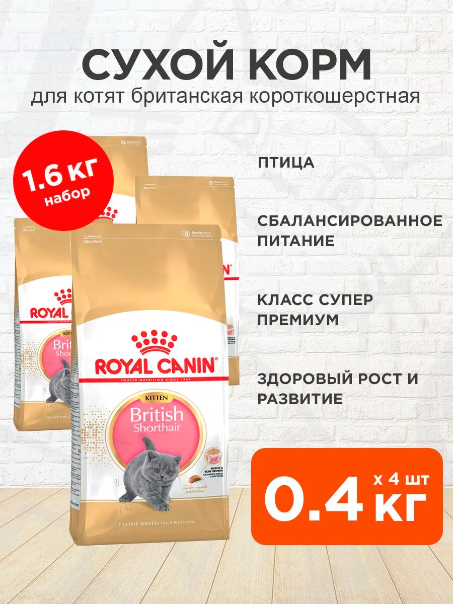 Корм сухой Royal Canin British Shorthair Kitten 34 для британских короткошерстных котят, 0,4 кг х 4 шт