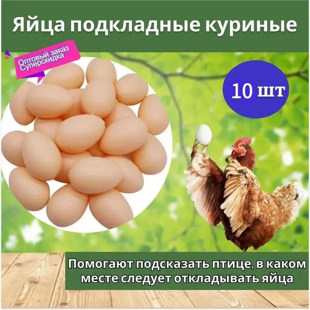 Имитационные яйца для курятников (набор из 10 штук), износостойкий материал пищевой степени PP, для кур и голубей, тренировка кур на кладку в назначенные гнезда, предотвращение клева на яйца и половой кладки, для птицеводческих ферм, легкие, механически