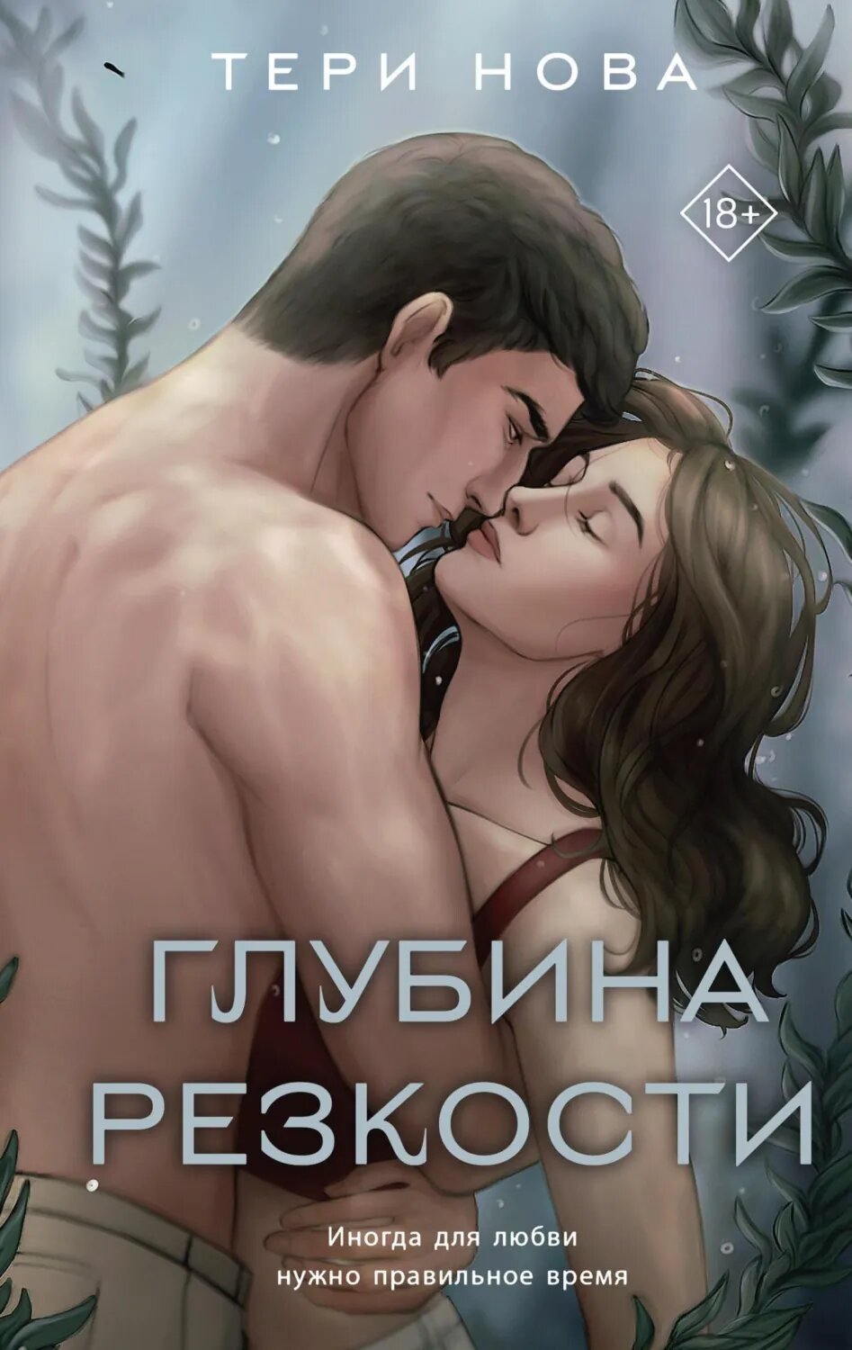 Глубина резкости [Цифровая книга]