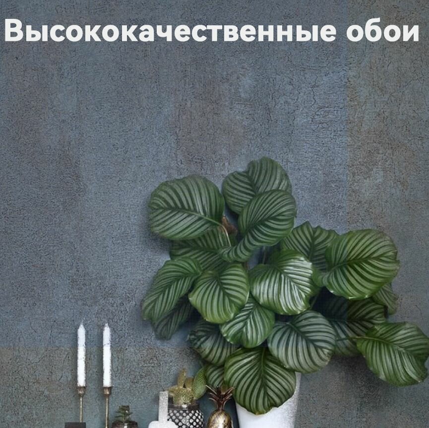 Обои — фото 1