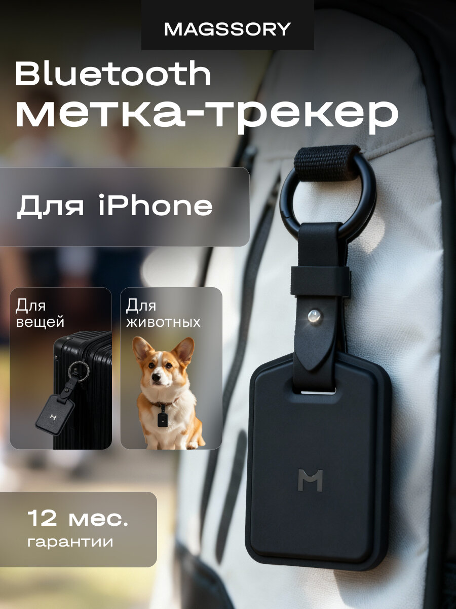 Карабин Magssory