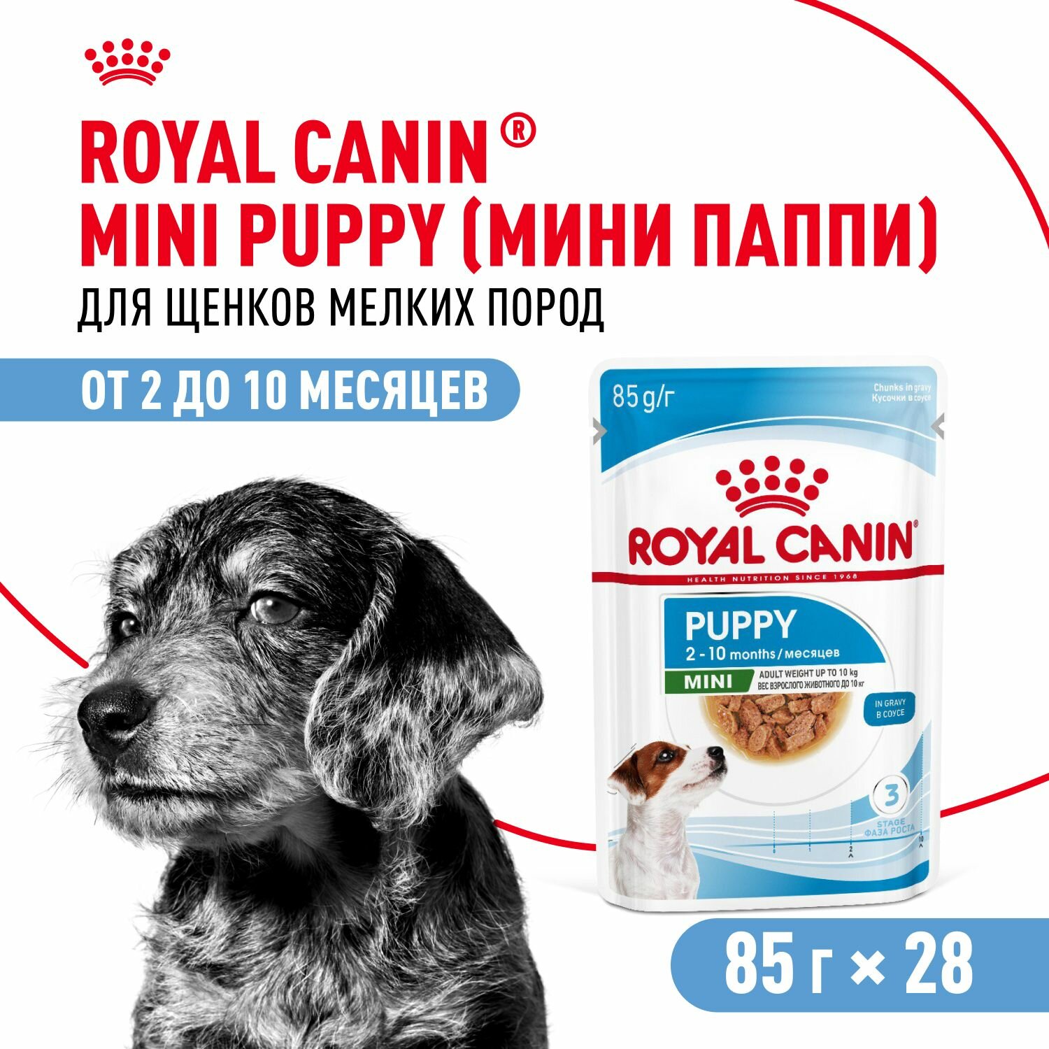 Royal Canin Mini Puppy Корм консервированный для щенков мелких пород в возрасте до 10 месяцев, кусочки в соусе, 28х85г