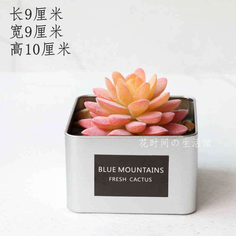 Комбинация суккулентов в горшках, искусственные цветы, зеленые растения, микроландшафт, домашний декор, украшение