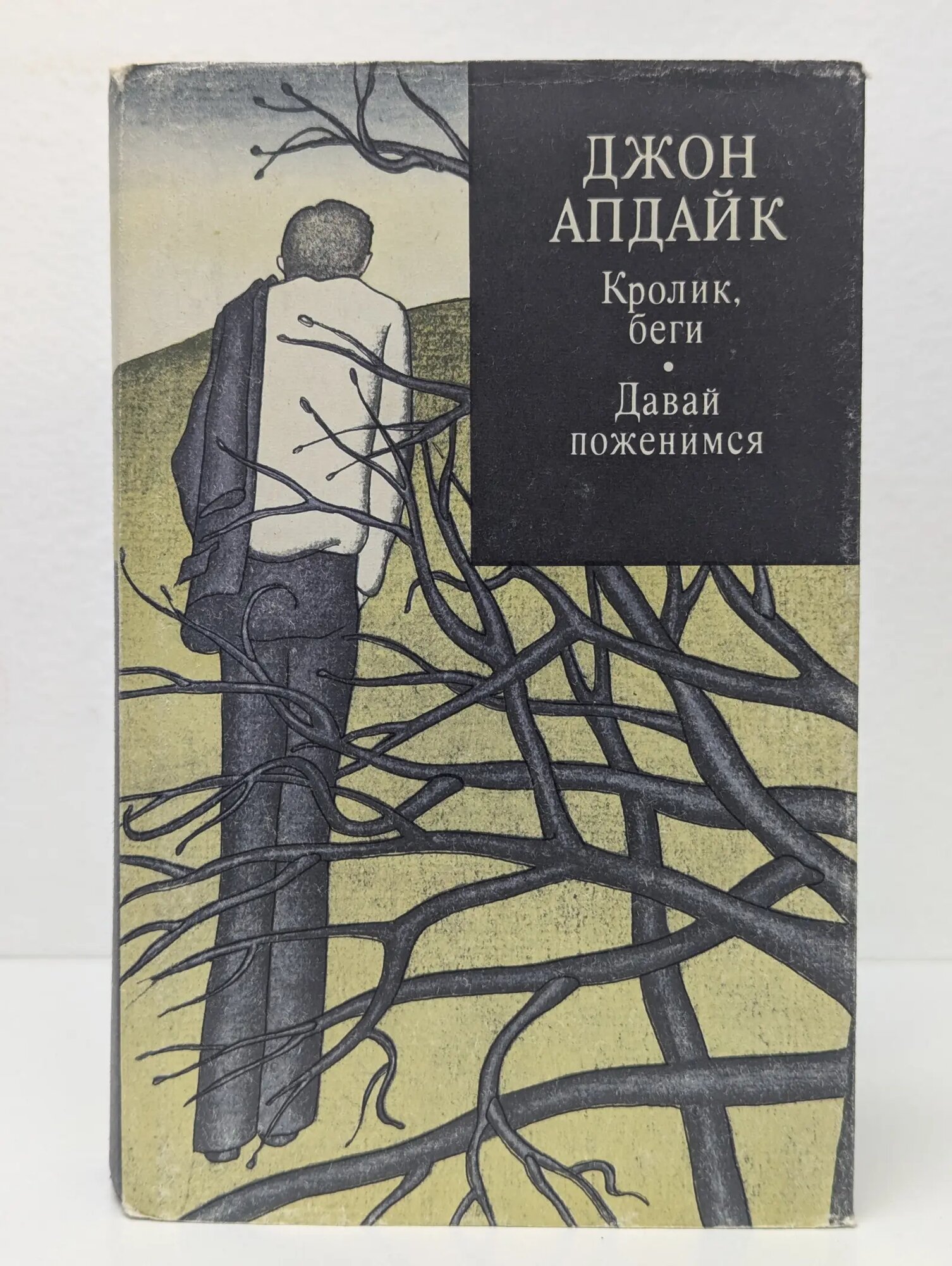 Кролик, беги. Давай поженимся Апдайк Джон Хойер 1979