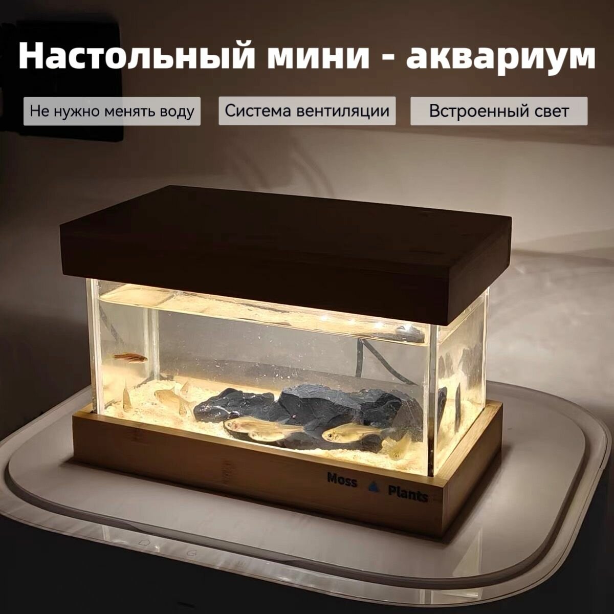 Аквариум