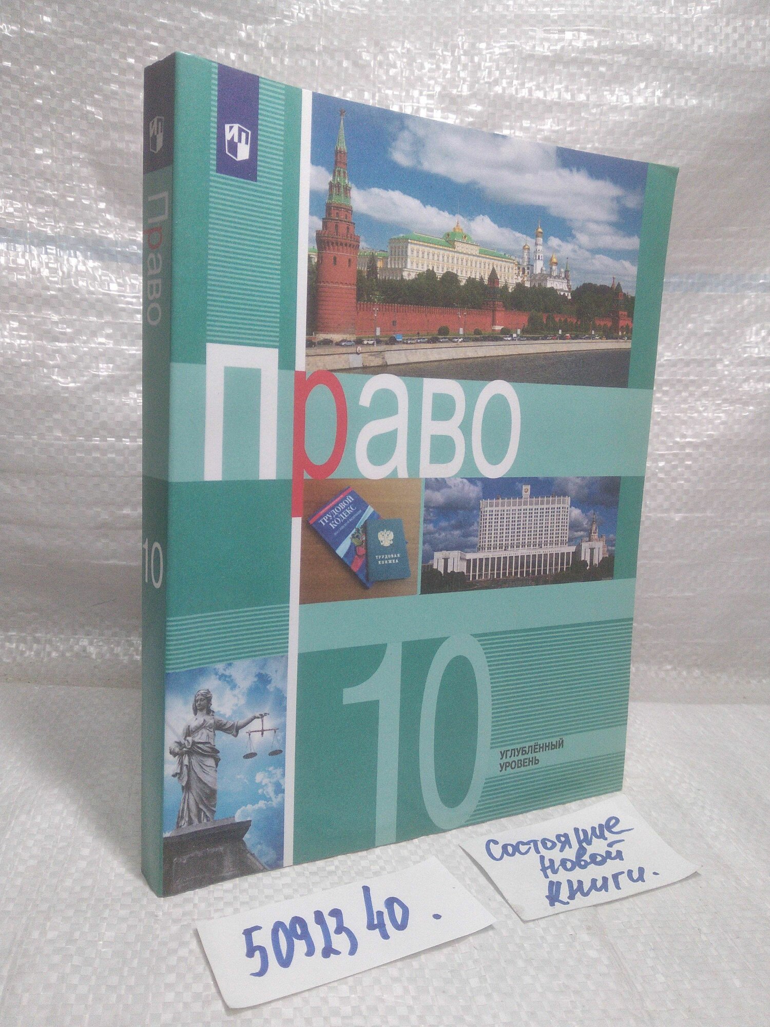 Право 10 класс: Учебник. Углубленный уровень. Под ред. А. Ю. Лазебниковой и др.