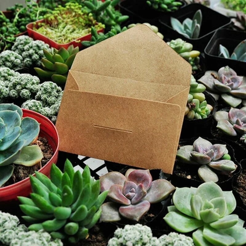 20 коричневых конвертов, которые можно использовать для сбора визитных карточек, фотографий