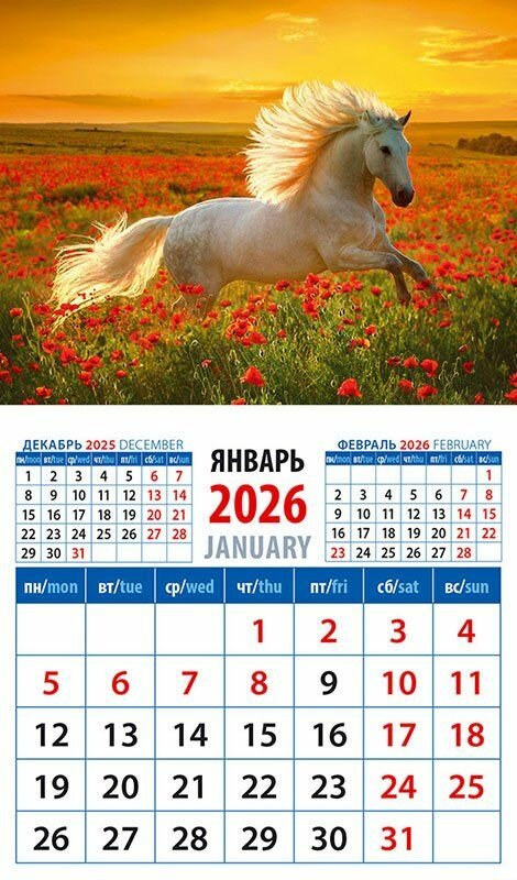 Календарь на 2026 год на магните Среди цветов на закате