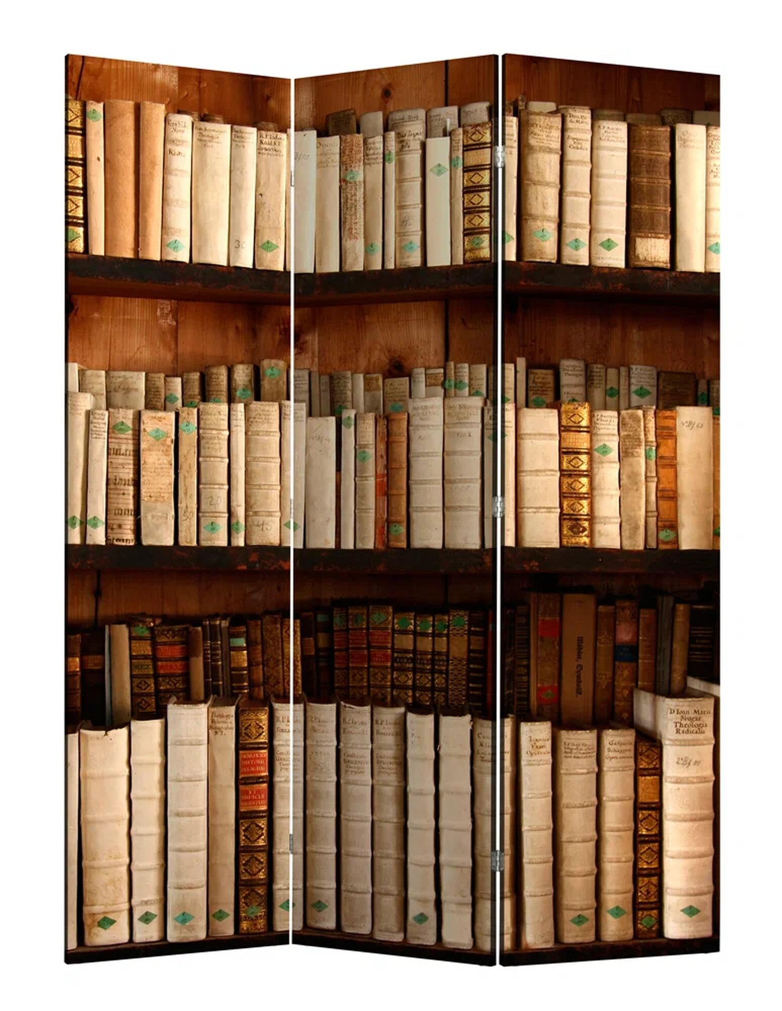 ПВХ ширма перегородка для зонирования Библиотека - 3, размер 177х141/47 см