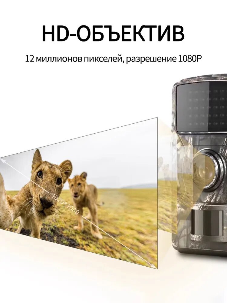 Фотоловушка — фото 1