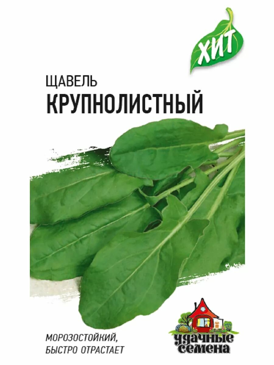 Щавель Крупнолистный цв. п 0,5г ХИТ Гавриш